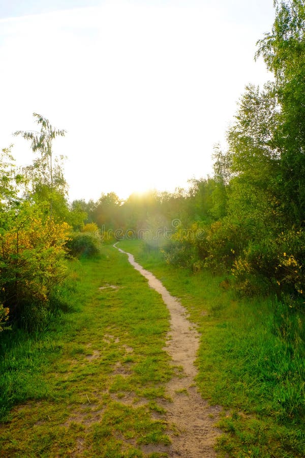 Path way on grass stock image. Image of alley, landscape - 20627667