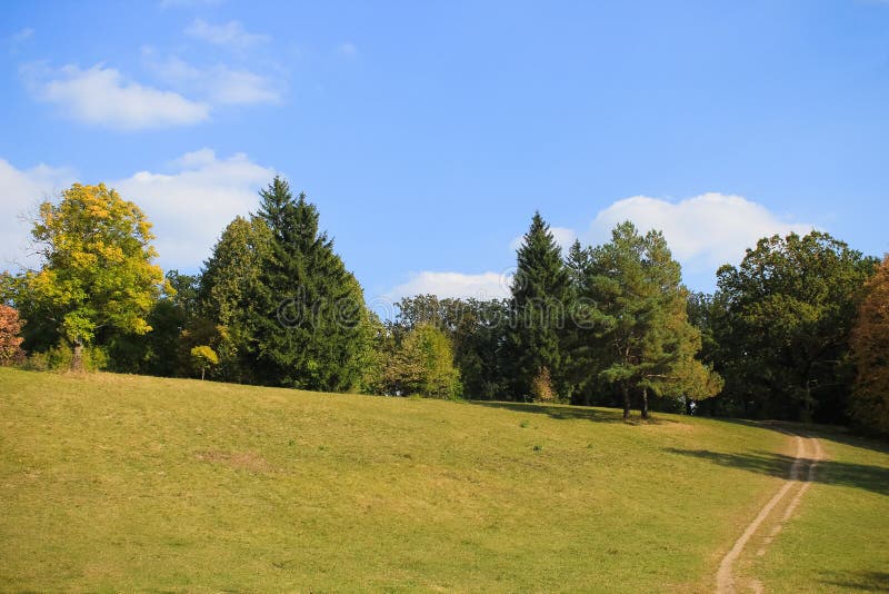 Path through Grass Field To Forest Stock Photo - Image of woods, leaf ...
