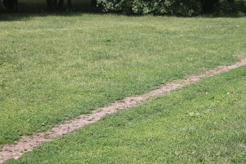 Path in the Grass in the Park. Green Grass with a Path. Paths, Trees ...