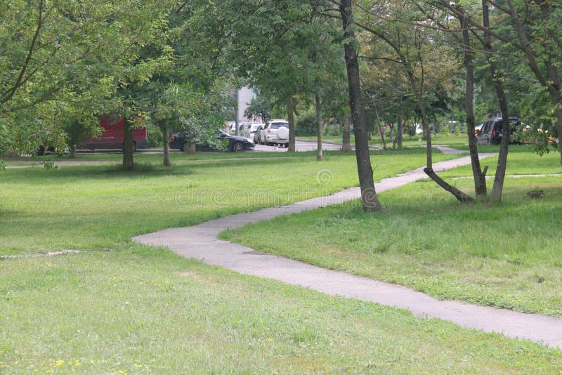 Path In The Grass In The Park Green Grass With A Path Paths Trees And Lush Green Grass