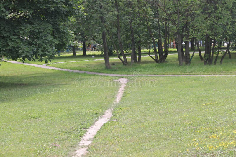 Path in the Grass in the Park. Green Grass with a Path. Paths, Trees ...