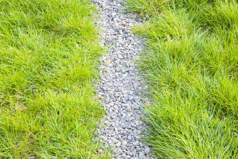 Path through the grass stock photo. Image of texture - 45138258