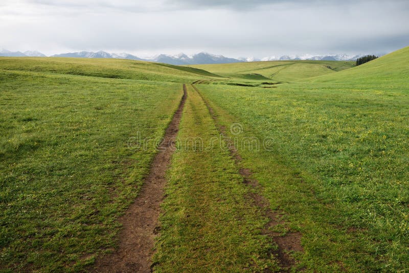 Path in grassland stock photo. Image of fairy, fields - 31761996
