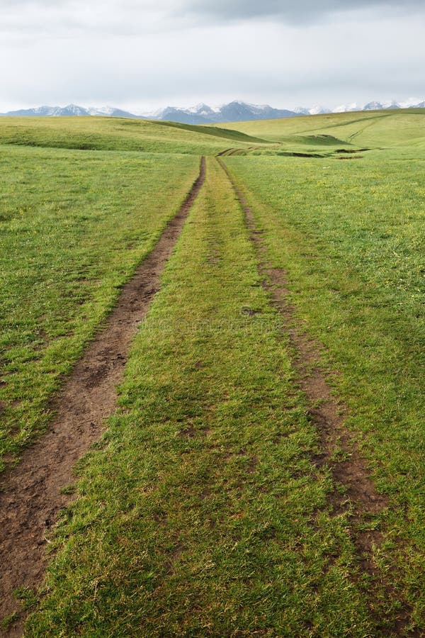 A path in a grassland stock image. Image of meadow, farming - 155673795