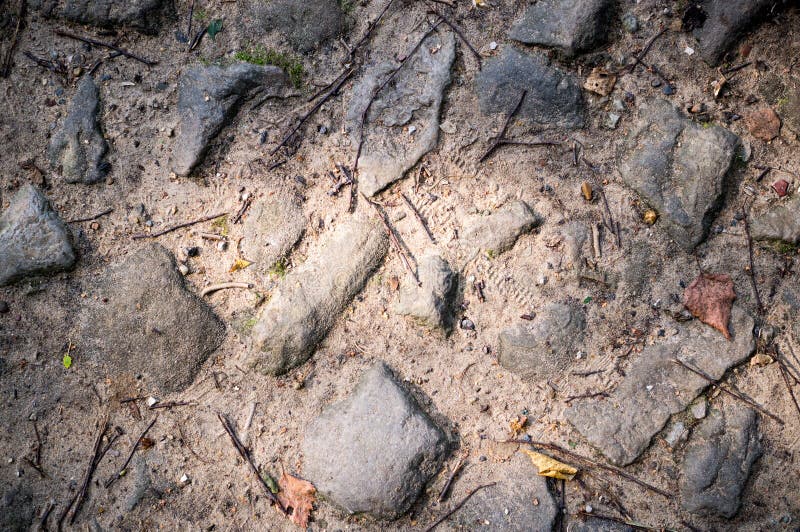 2,088 Dusty Ground Texture Stock Photos - Free & Royalty-Free Stock ...