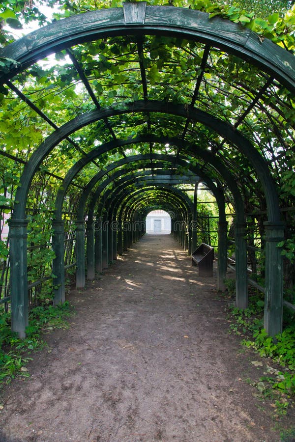 Path in green arch in park stock photo. Image of landscape - 80983176
