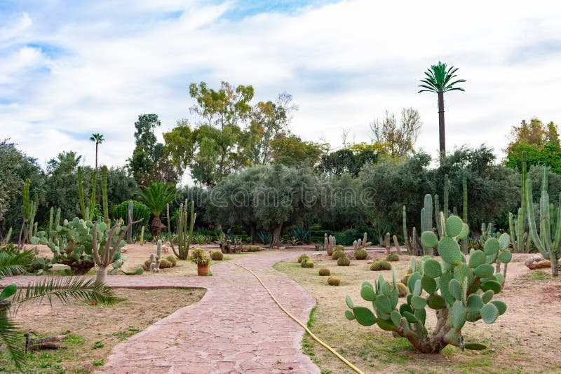 El Harti garden stock photo. Image of nature, park, marrakech - 55791222