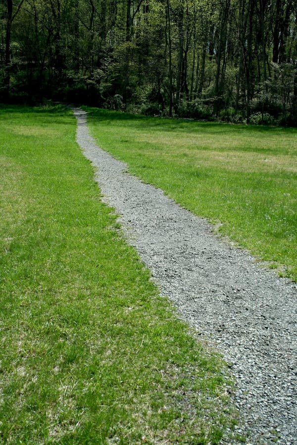 Path through field stock photo. Image of ground, meadow - 25198984