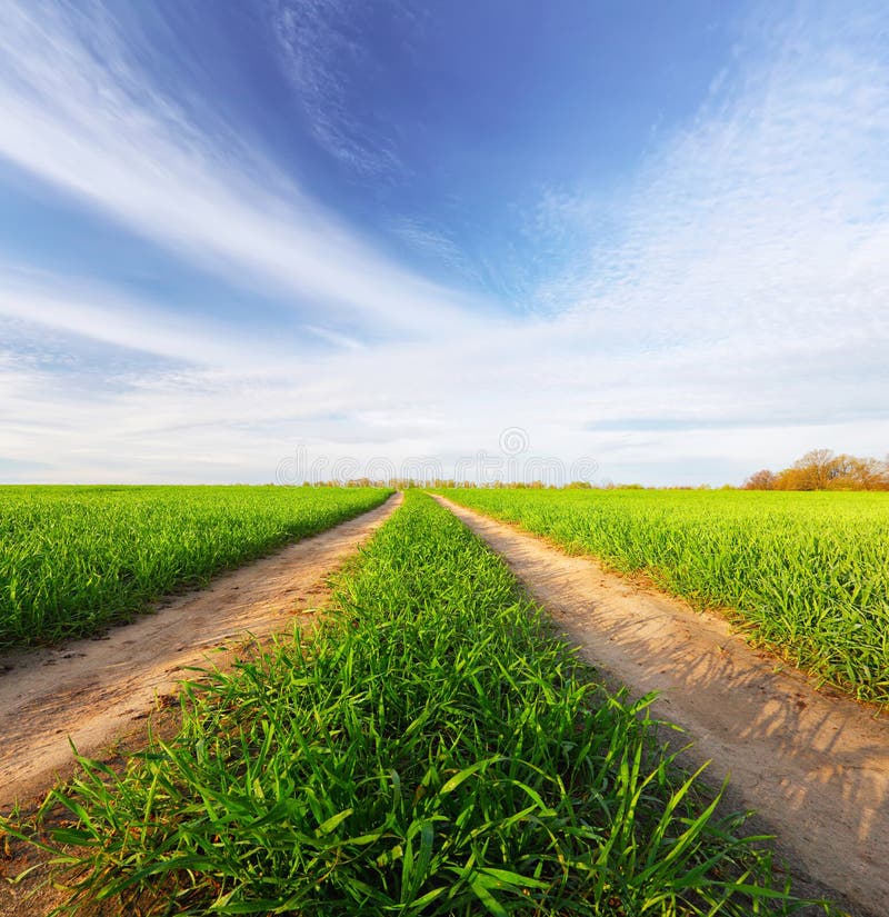Path in a Green Field on Sunny Day Stock Image - Image of path, rural ...