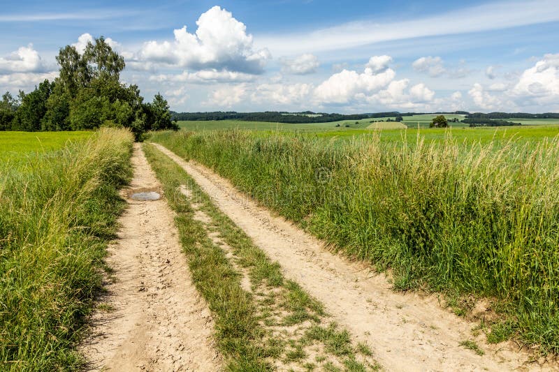 Path in Green Fields in the Czech Republ Stock Photo - Image of scenery ...