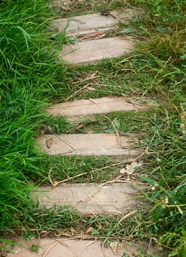 Path and green grass stock image. Image of wooden, step - 17479425