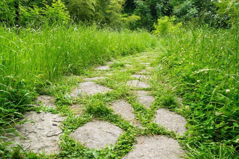 Path in green grass stock photo. Image of park, grass - 71060324