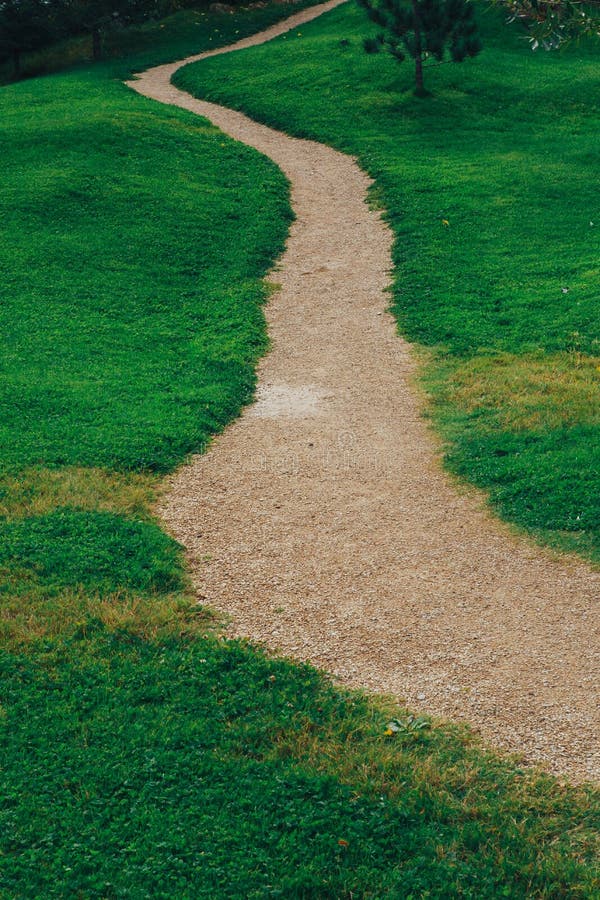 A Path among the Green Grass Stock Photo - Image of coastal, dawn ...