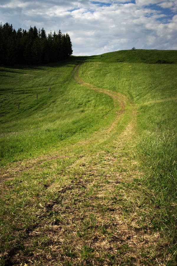 Path Through Green Meadow Picture. Image: 90717807