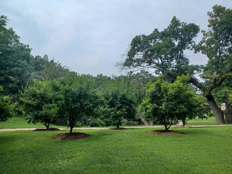 Path through Greenery Park stock image. Image of path - 383287127