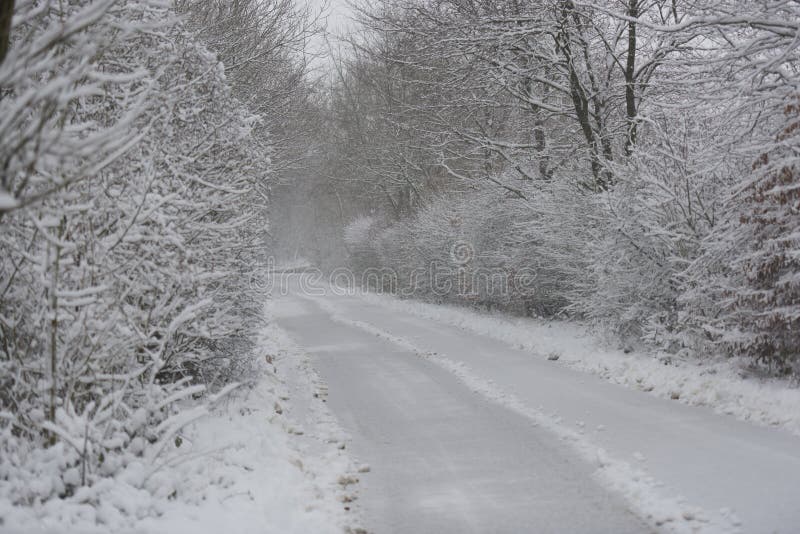 Path through Snow Covered Hedgerows Stock Image - Image of hedgerows ...