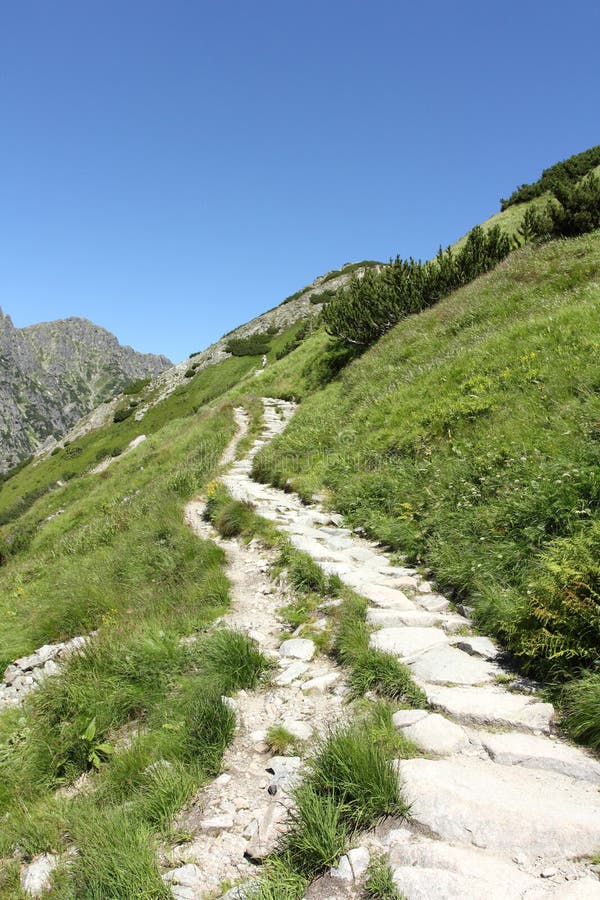 Path stock photo. Image of scenery, outdoor, mountaineering - 40569118