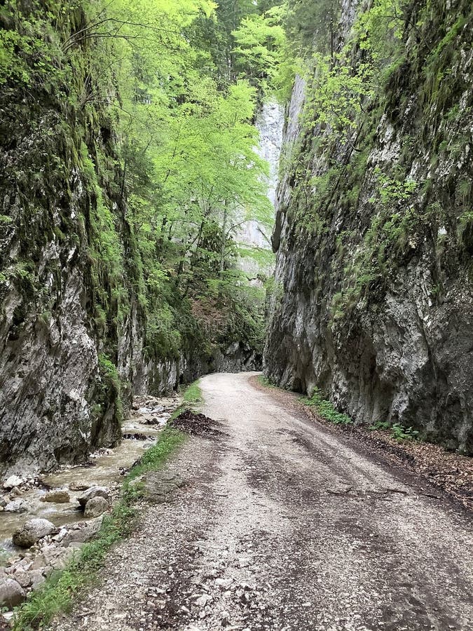 A path between high rocks stock image. Image of wilderness - 270236725