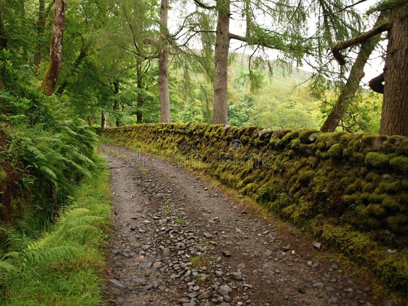 Path in the Highlands stock photo. Image of green, scotland - 30273362