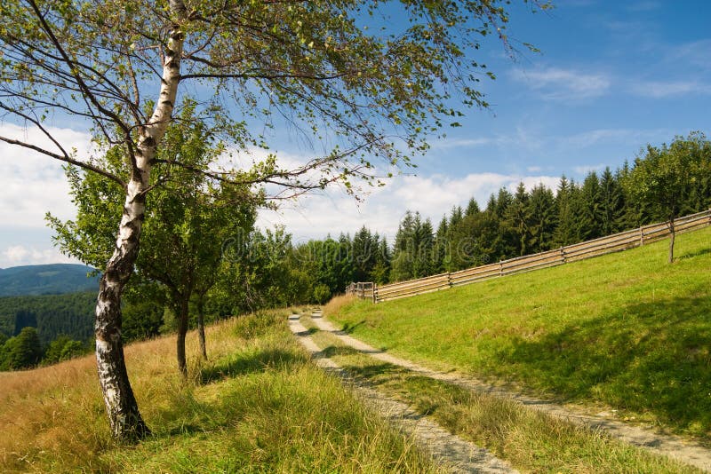 Sisters on path stock image. Image of people, evening - 12334183