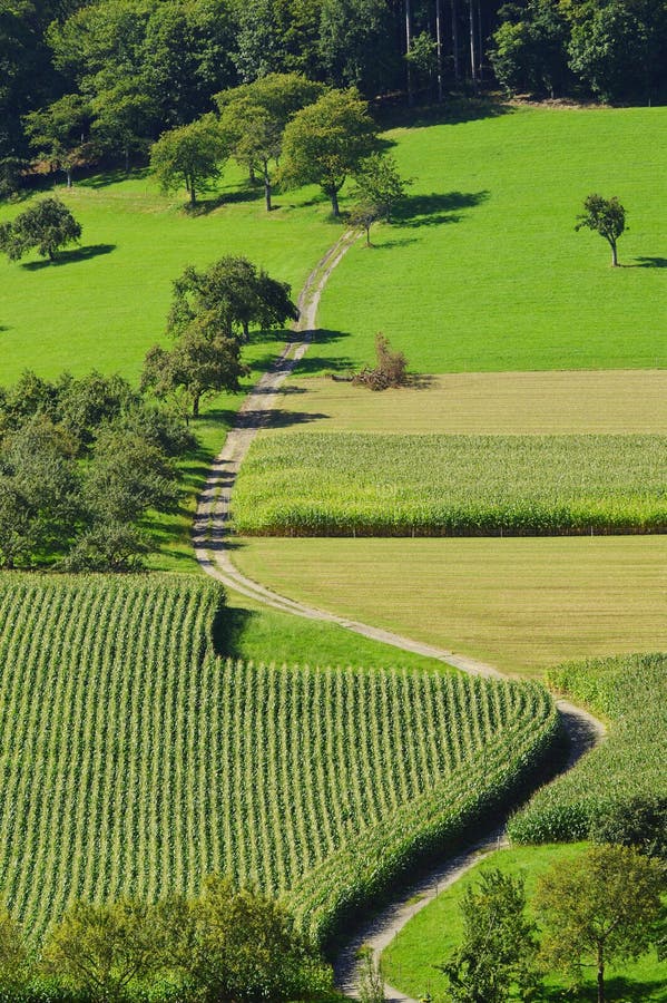 Path on Hill stock image. Image of europe, beautiful - 26543793