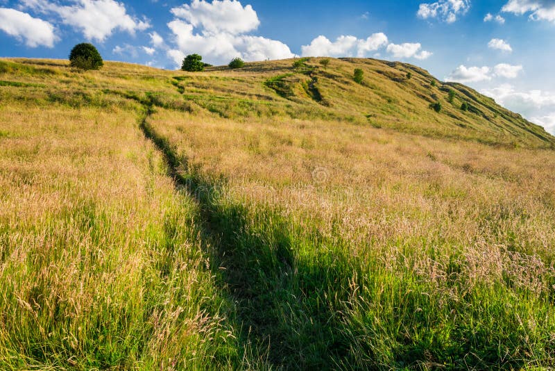 The Path on the Hill in Scotland Stock Image - Image of plant, path ...