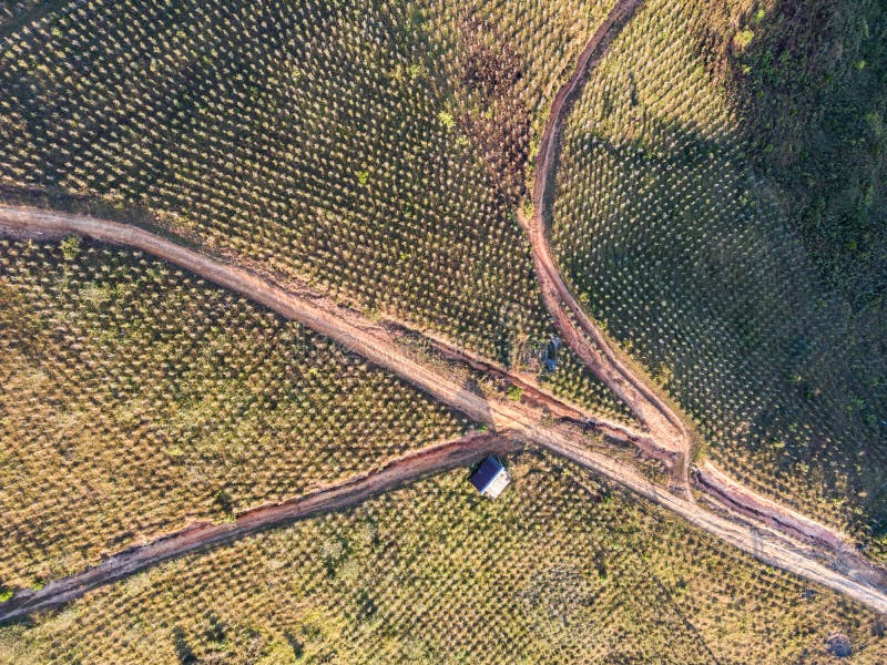 Path through the Hill View from Above Stock Image - Image of ...