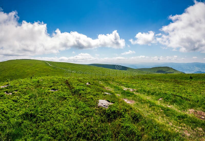 Path on Hillside Meadow in Mountain at Sunset Stock Photo - Image of ...