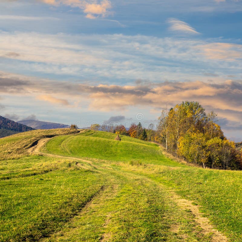 Path on Hillside Meadow in Mountain Stock Photo - Image of autumn ...