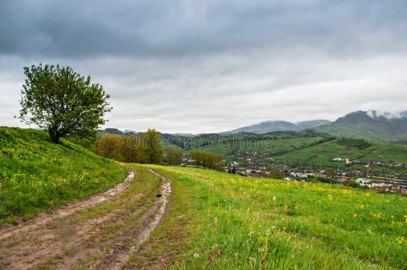 Path on Hillside Meadow in Mountain at Sunset Stock Photo - Image of ...