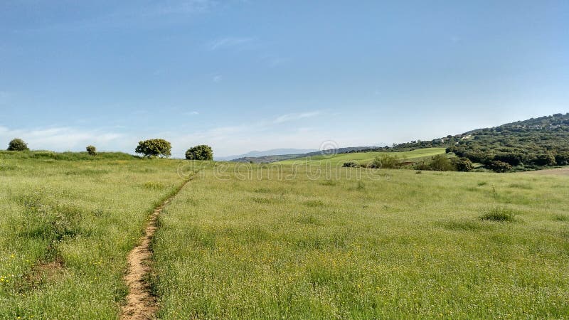 Path on Hillside Meadow in Mountain at Sunset Stock Photo - Image of ...