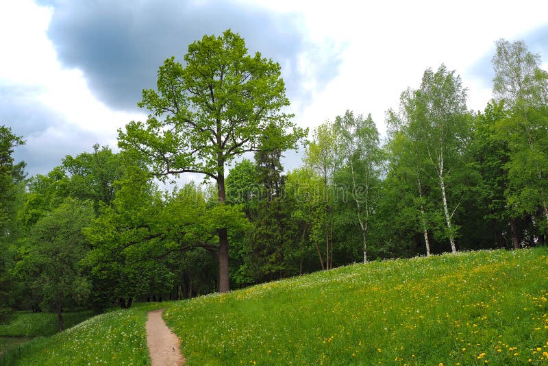 Path in a Hilly Green Park. Spring Landscape. Stock Photo - Image of ...