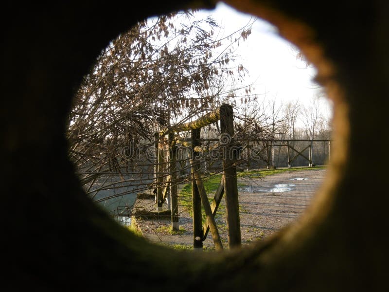 Pathway in the hole stock photo. Image of trees, path - 209173916