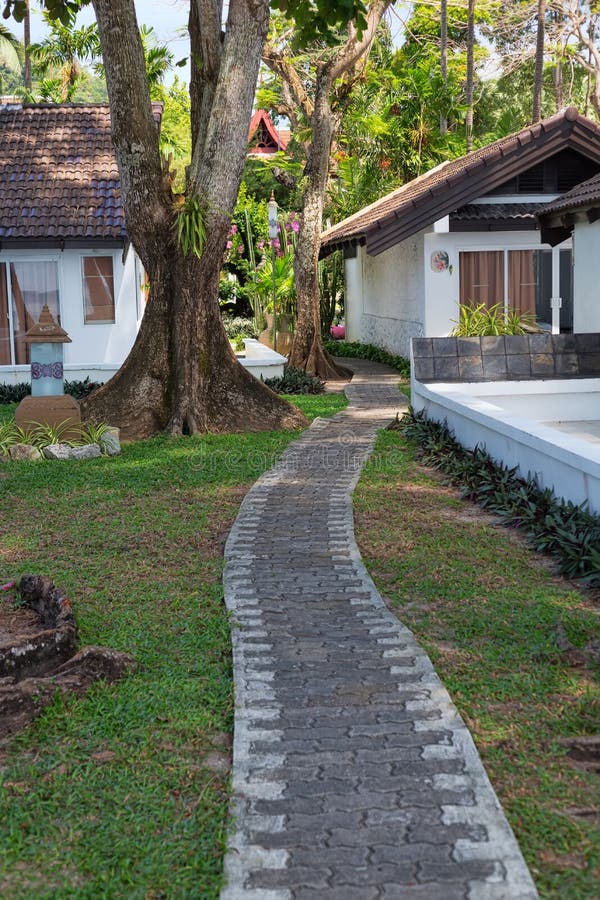 Path between the Houses in Jungle Stock Image - Image of plant ...