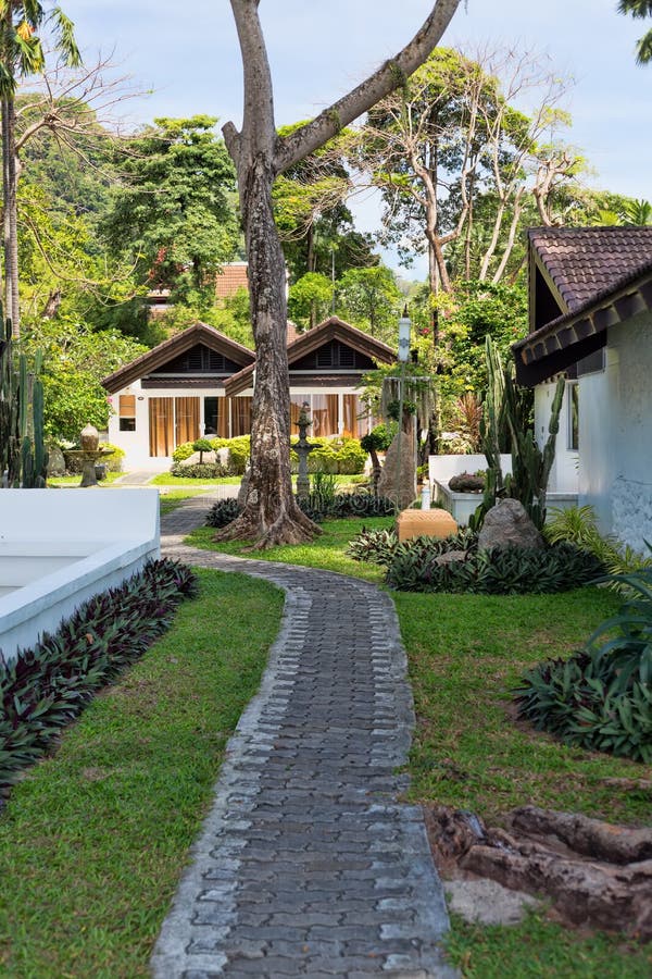 Path between the houses stock photo. Image of mangrove - 91121798