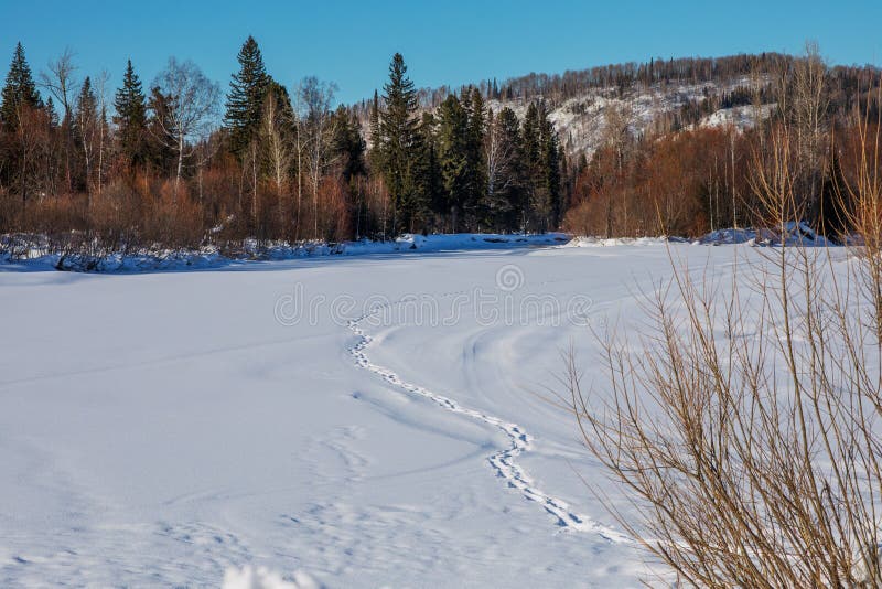 Path of Human Footprints on the Flat Surface of a Frozen River. Winter ...
