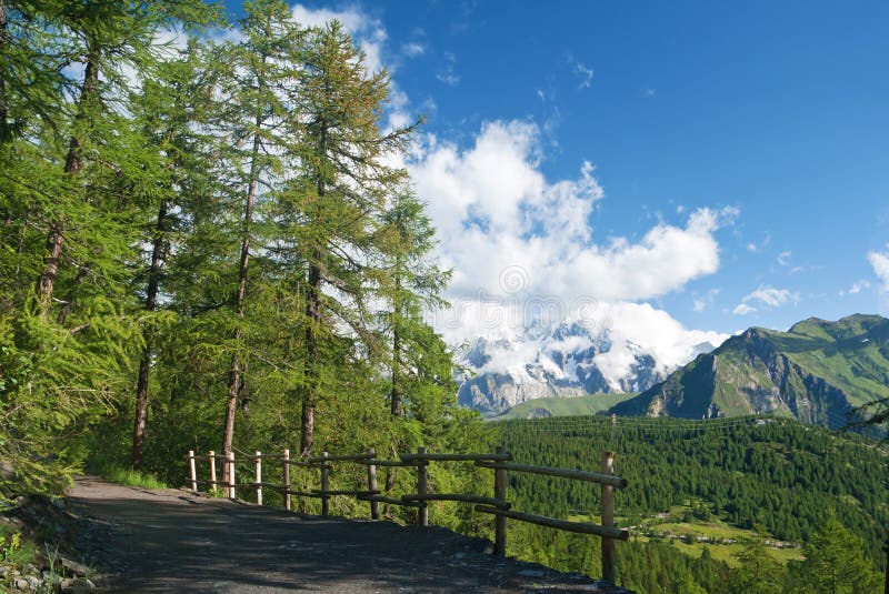 Path in italian Alps stock image. Image of path, dirt - 16672985