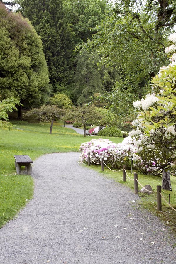 Path in Japanese garden stock image. Image of design - 31257089