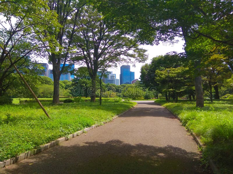 Path in a Japanese Natural Park in Tokyo Stock Image - Image of tree ...