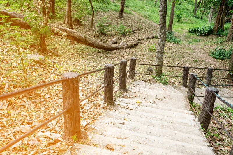 The Path is a Ladder Made of Cement. in the Park Area Stock Image ...