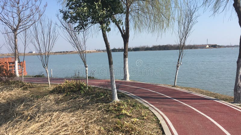 A path by the lake stock photo. Image of turning, path - 214789380