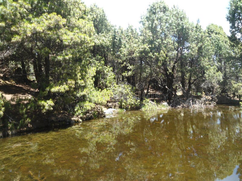 A path on the lake stock photo. Image of summer, strange - 126097412
