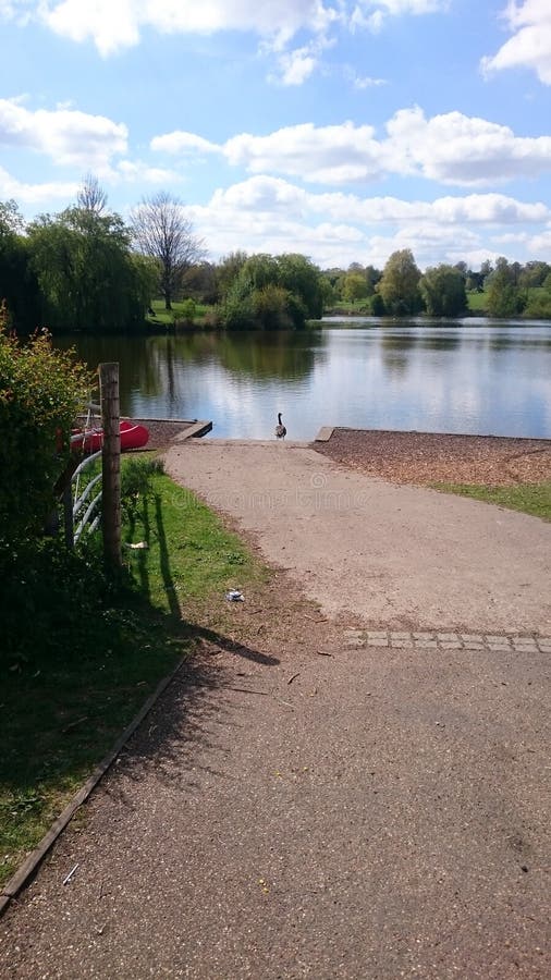 Path and lake portrait stock image. Image of portrait - 99398459
