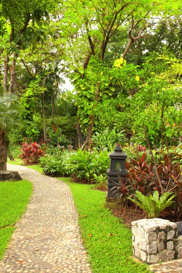 Path and a Lantern in an Ornamental Tropical Garden Stock Photo - Image ...