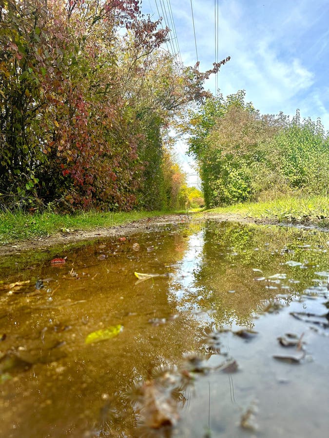 Path with a Large Puddle Reflecting the Sky Stock Image - Image of ...