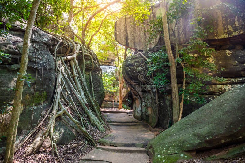 A Path through a Large Rock in a Deep Forest Stock Photo - Image of ...
