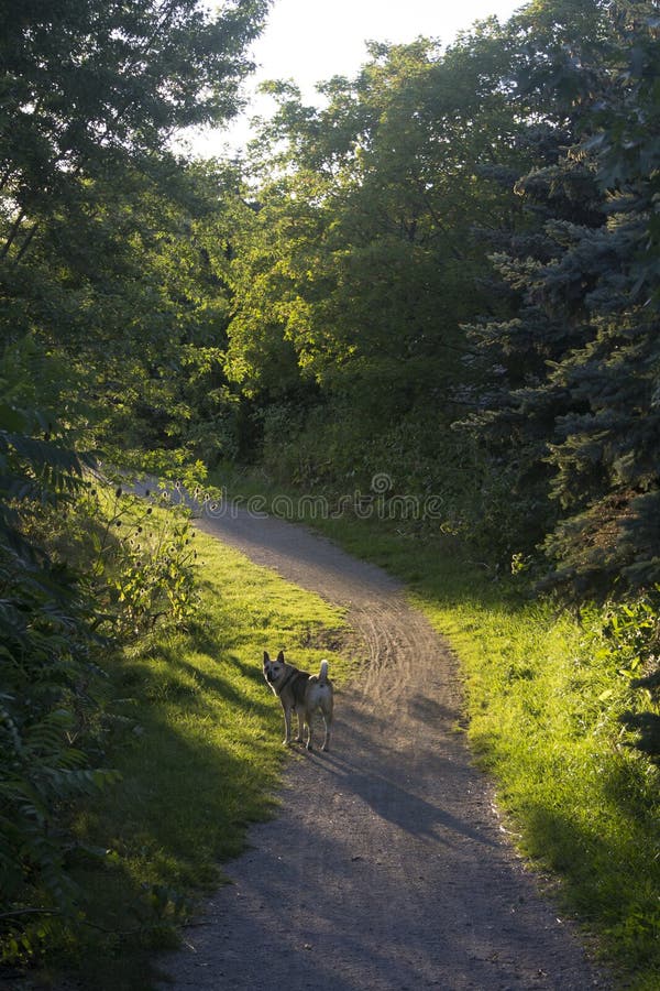 Path stock photo. Image of bridge, path, summer, grass - 33010036