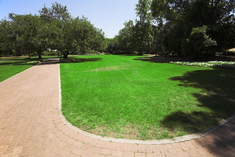 Path among the lawn stock image. Image of beauty, color - 6386605