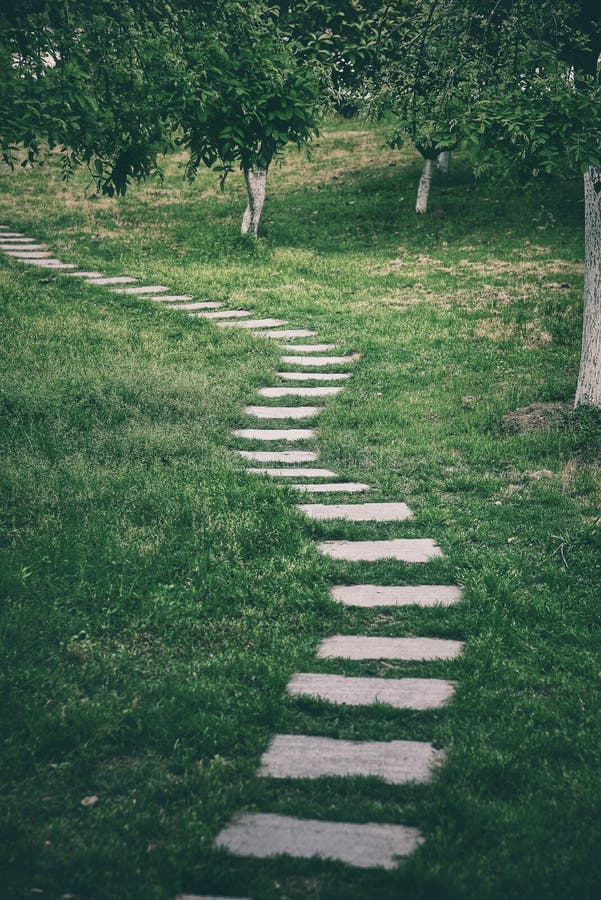 Path through the lawn stock photo. Image of park, lawn - 216478216