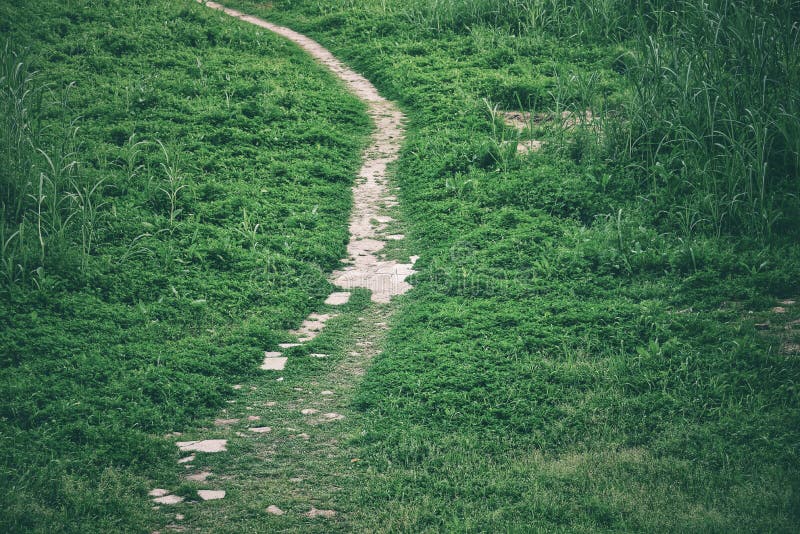 Path and Lawn in a Park, China Stock Image - Image of gardening ...
